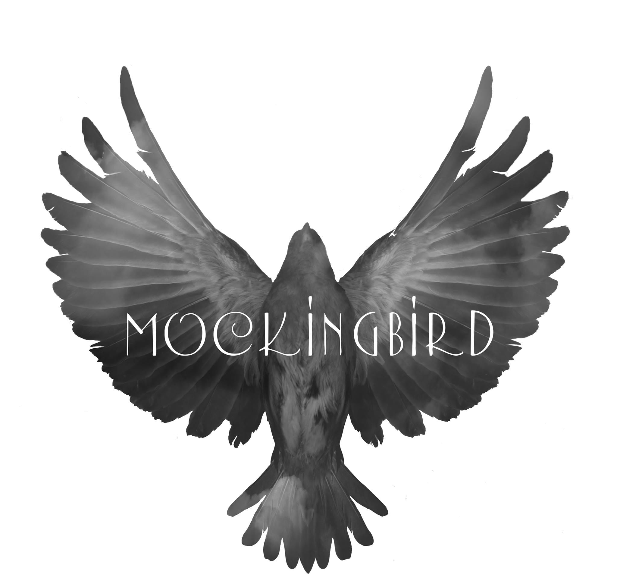 Montreal Mockingbird - Team News, Stats, History & More - Ultiworld