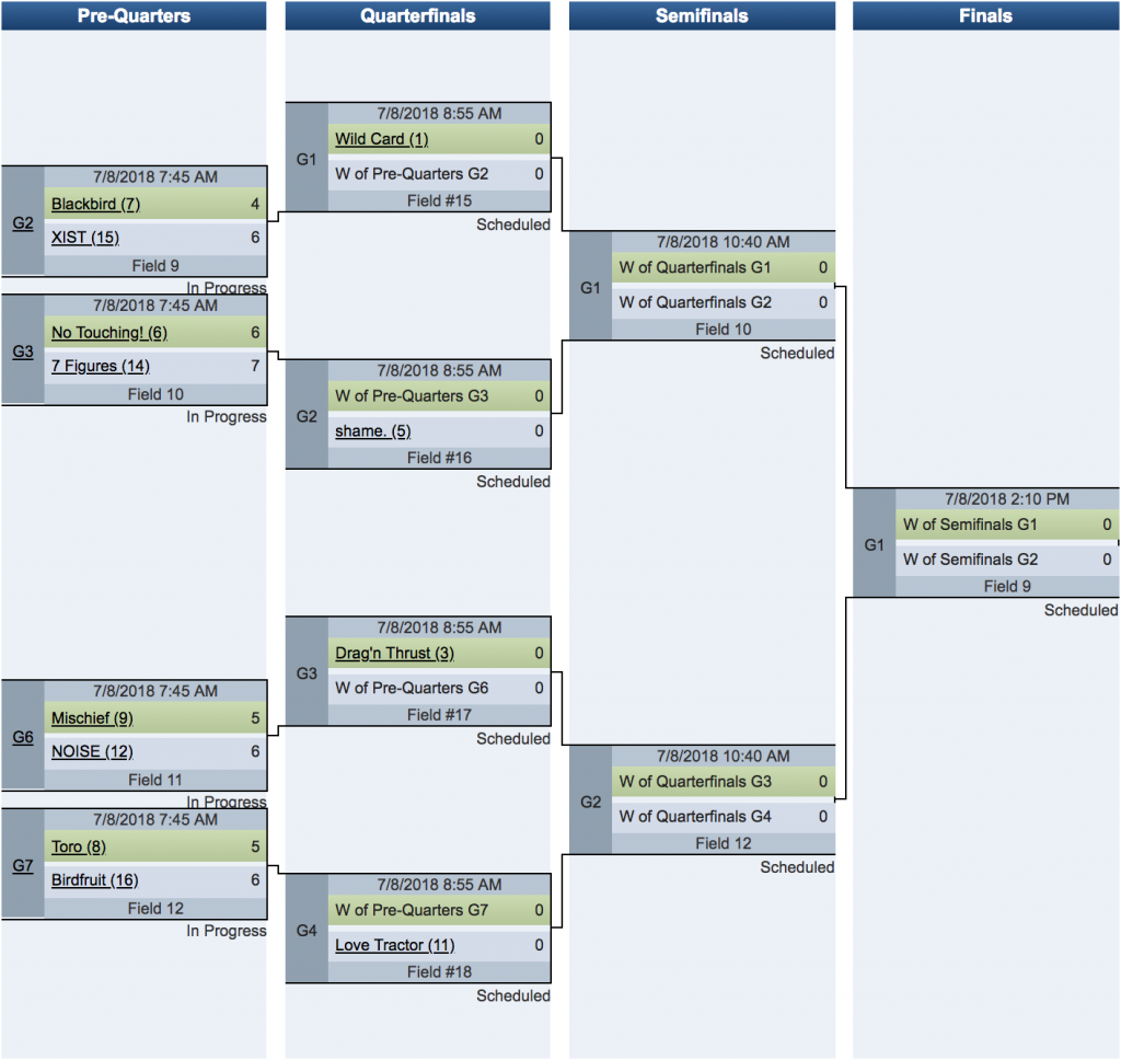 Pro-Elite Challenge 2018: Mixed Day One Recap - Ultiworld
