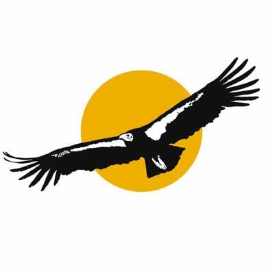 SoCal Condors - Team News, Stats, History & More - Ultiworld