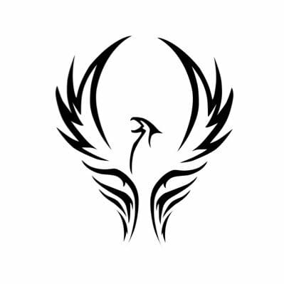 Chicago - Team News, Stats, History & More - Ultiworld