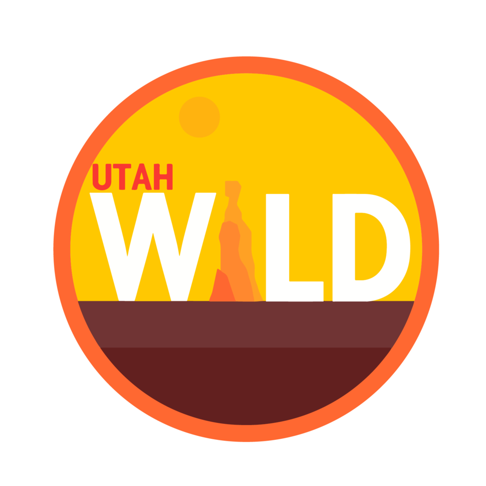 The 2025 Western Ultimate League Primer - Ultiworld