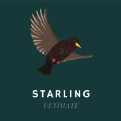 Northampton Starling - Team News, Stats, History & More - Ultiworld