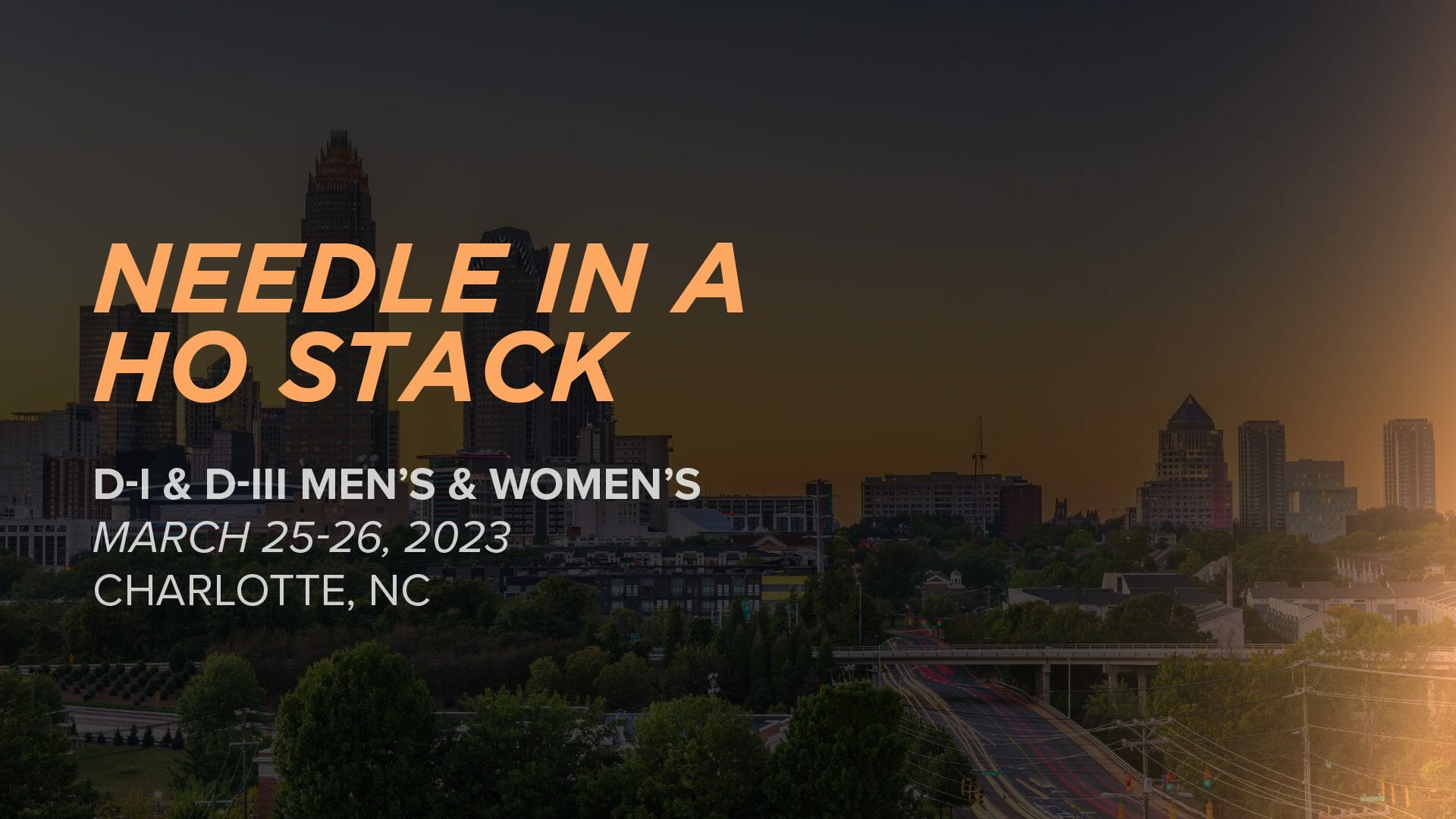 2023 Needle in a Ho Stack - Event News, Stats, Schedule & More - Ultiworld