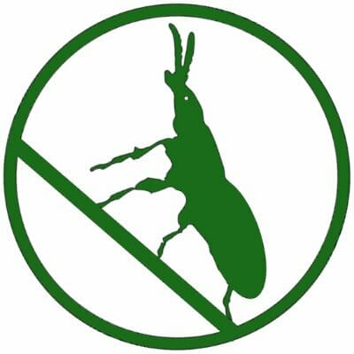 Berkeley Zyzzyva - Team News, Stats, History & More - Ultiworld