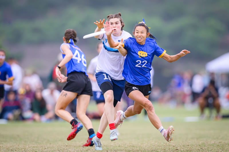 Club Championships 2025: Fury Bounce Punchy Molly Brown (Women's Div ...
